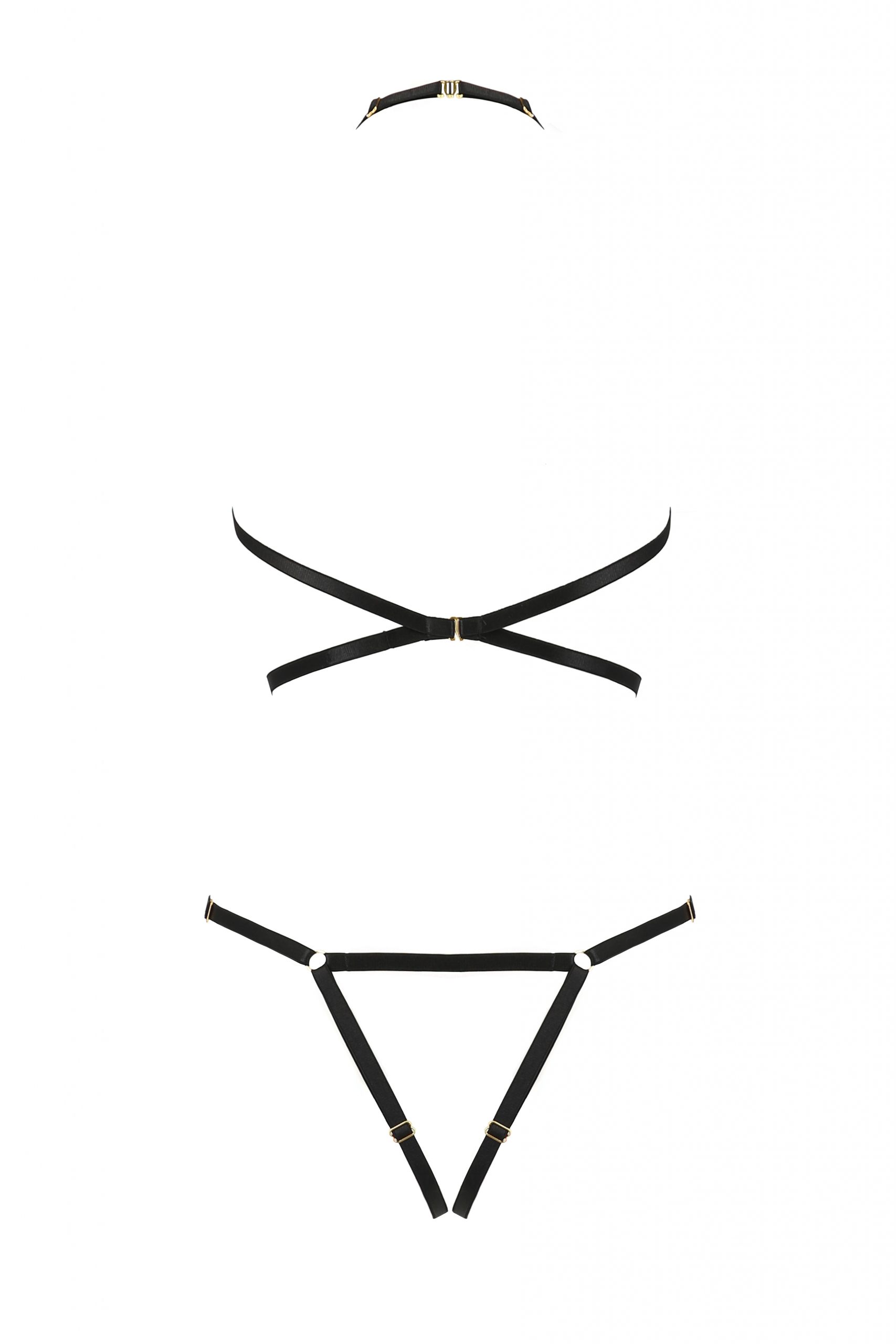 PASSION | IVENA BODY